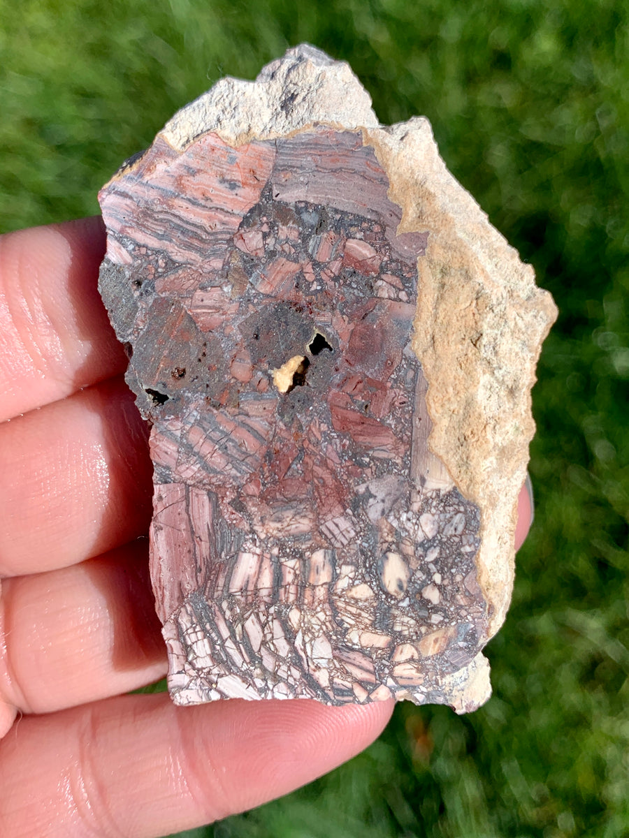 ChipboardRhyolite6.2_1200x1200.jpg?v=1609620308